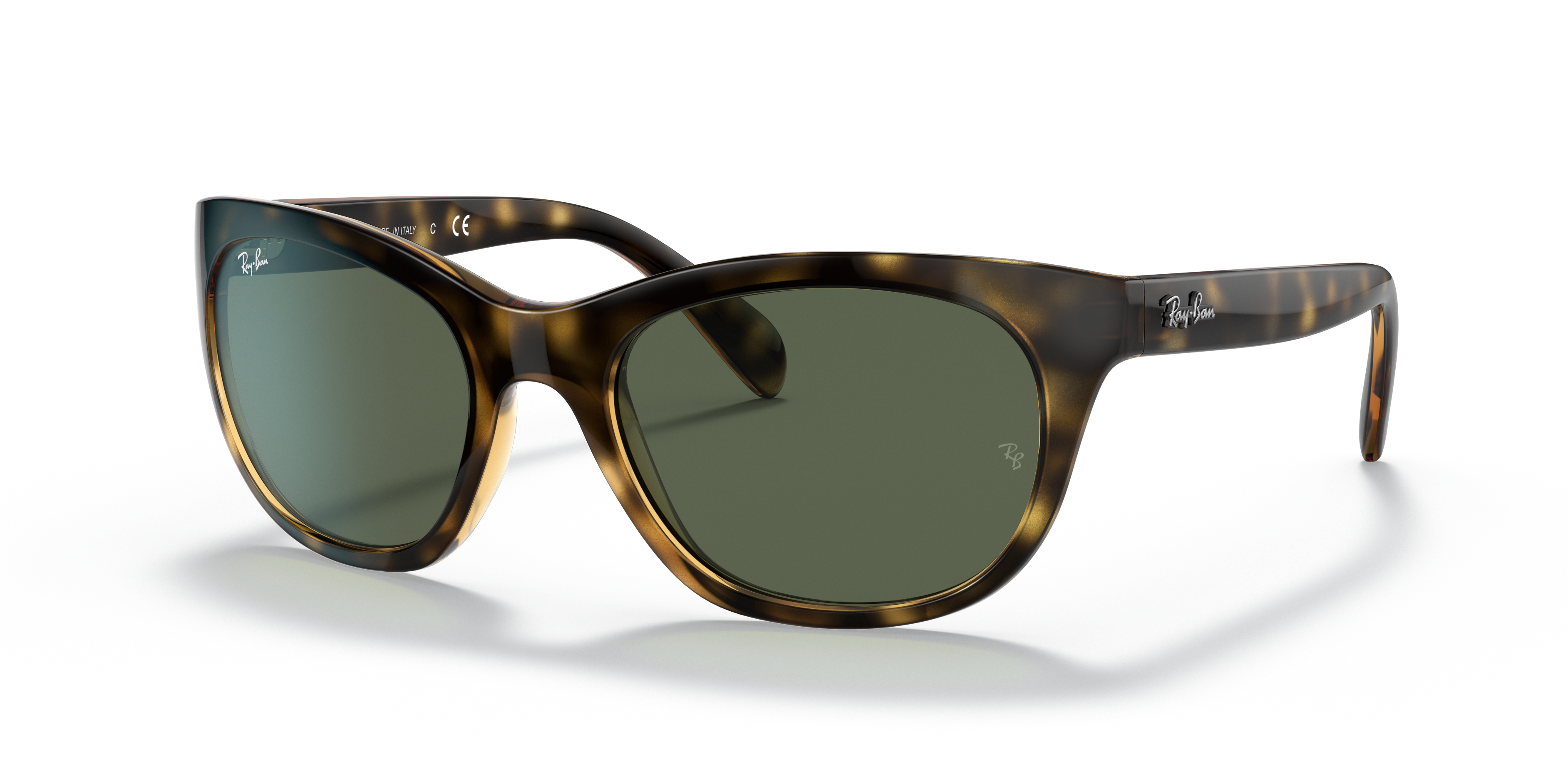 Rb4216 Sunglasses in Havana and Dark Green - RB4216 | Ray-Ban® GB