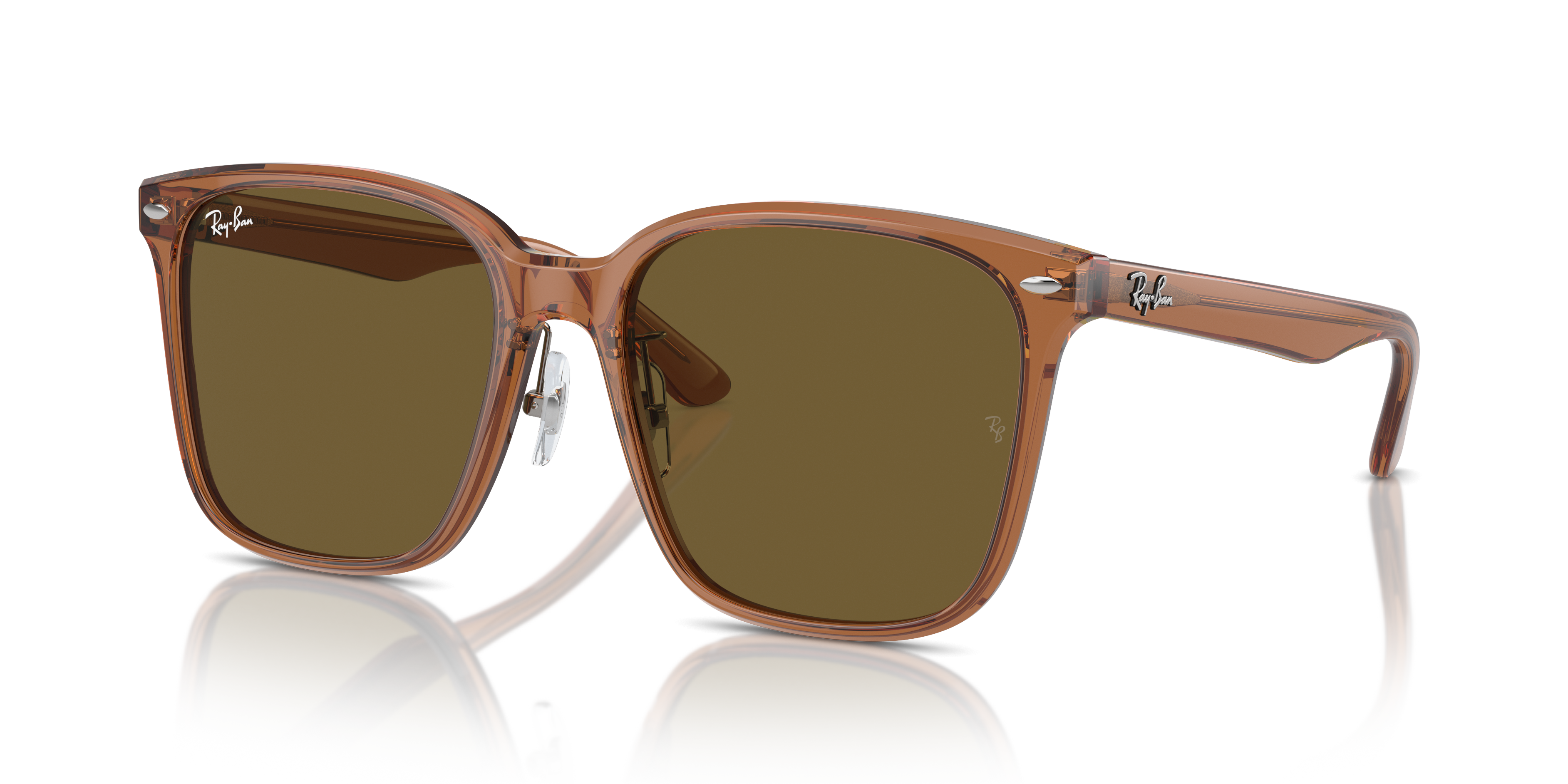 Rb2206d Sunglasses in Transparent Brown and Dark Brown - RB2206D | Ray ...