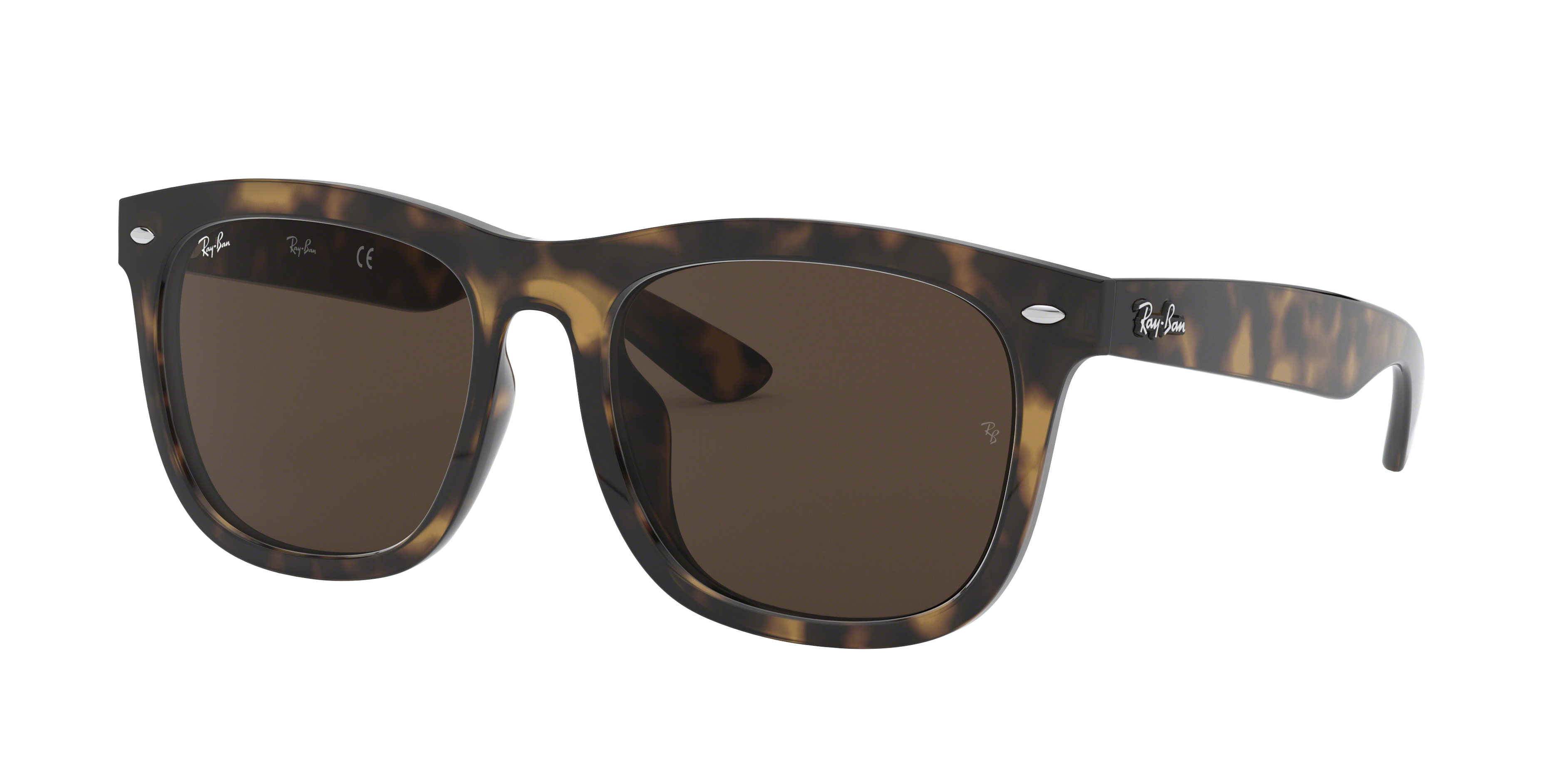 Rb4260d Sunglasses in Havana and B-15 Brown - RB4260D | Ray-Ban® CA