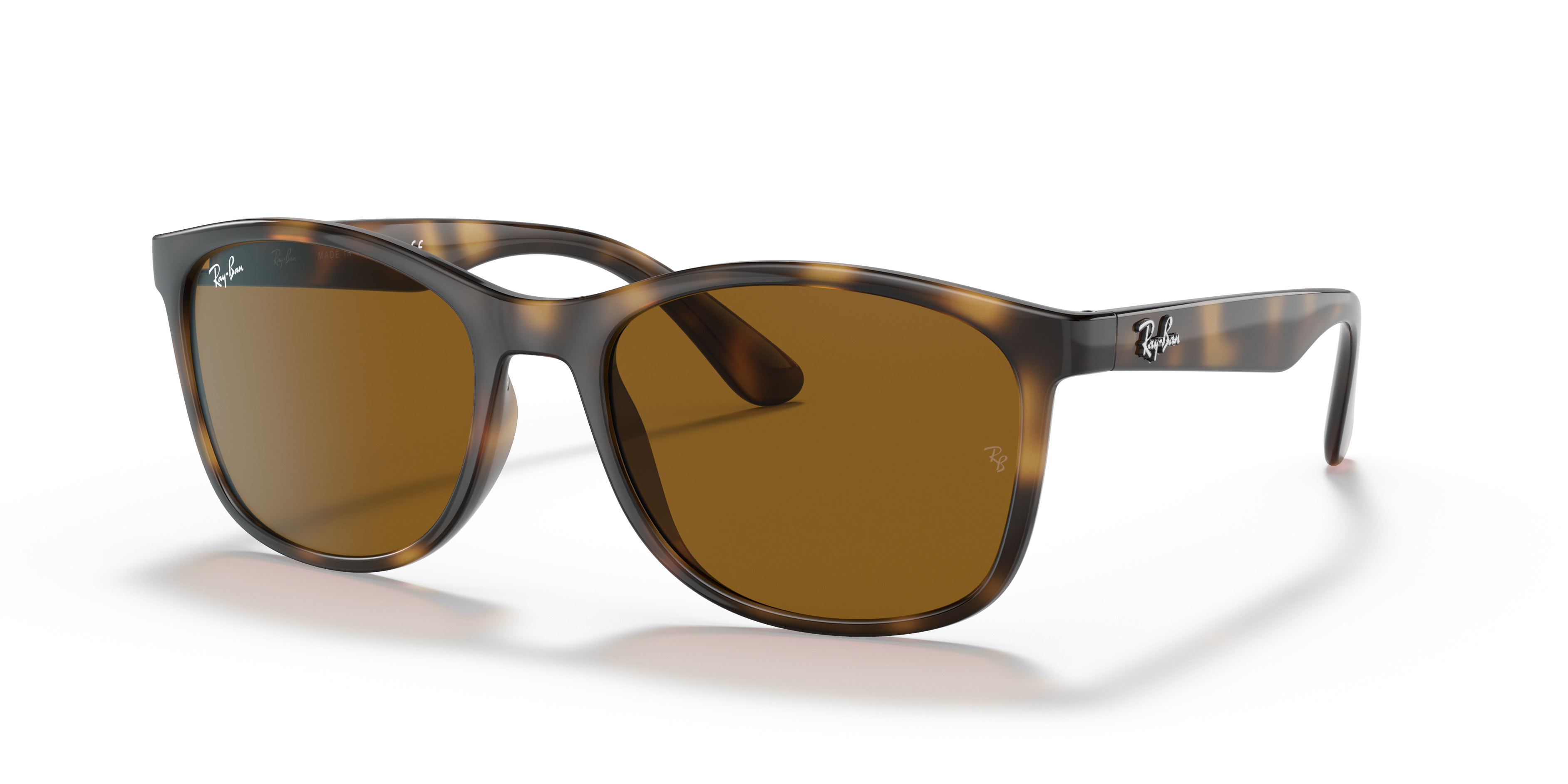 Rb4374 Sunglasses in Havana and Brown - RB4374F | Ray-Ban® US