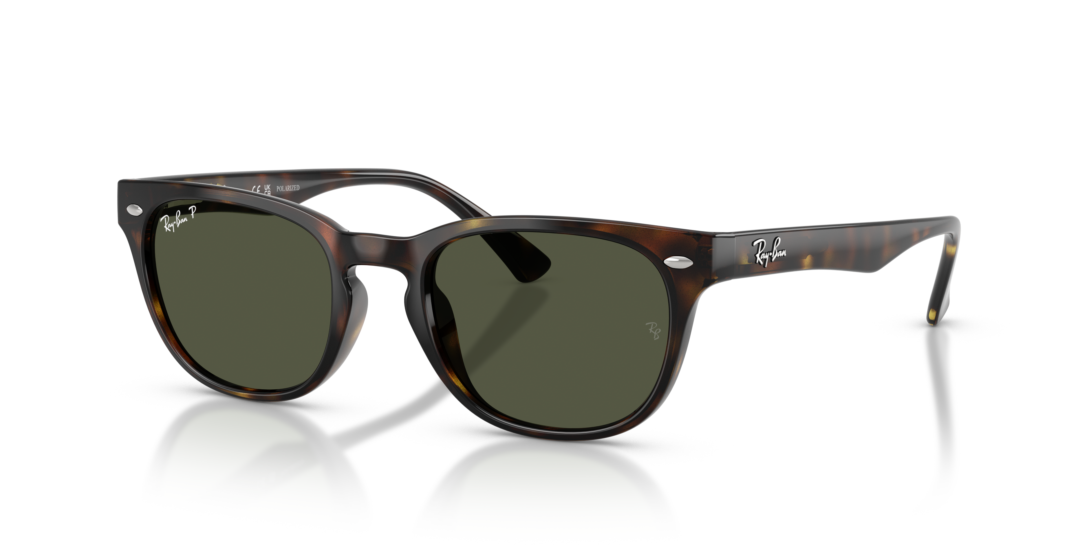 Rb4140 搭 抛光 浅哈瓦那 的 绿色偏光 (49-20) - RB4140 | Ray-Ban® 雷朋