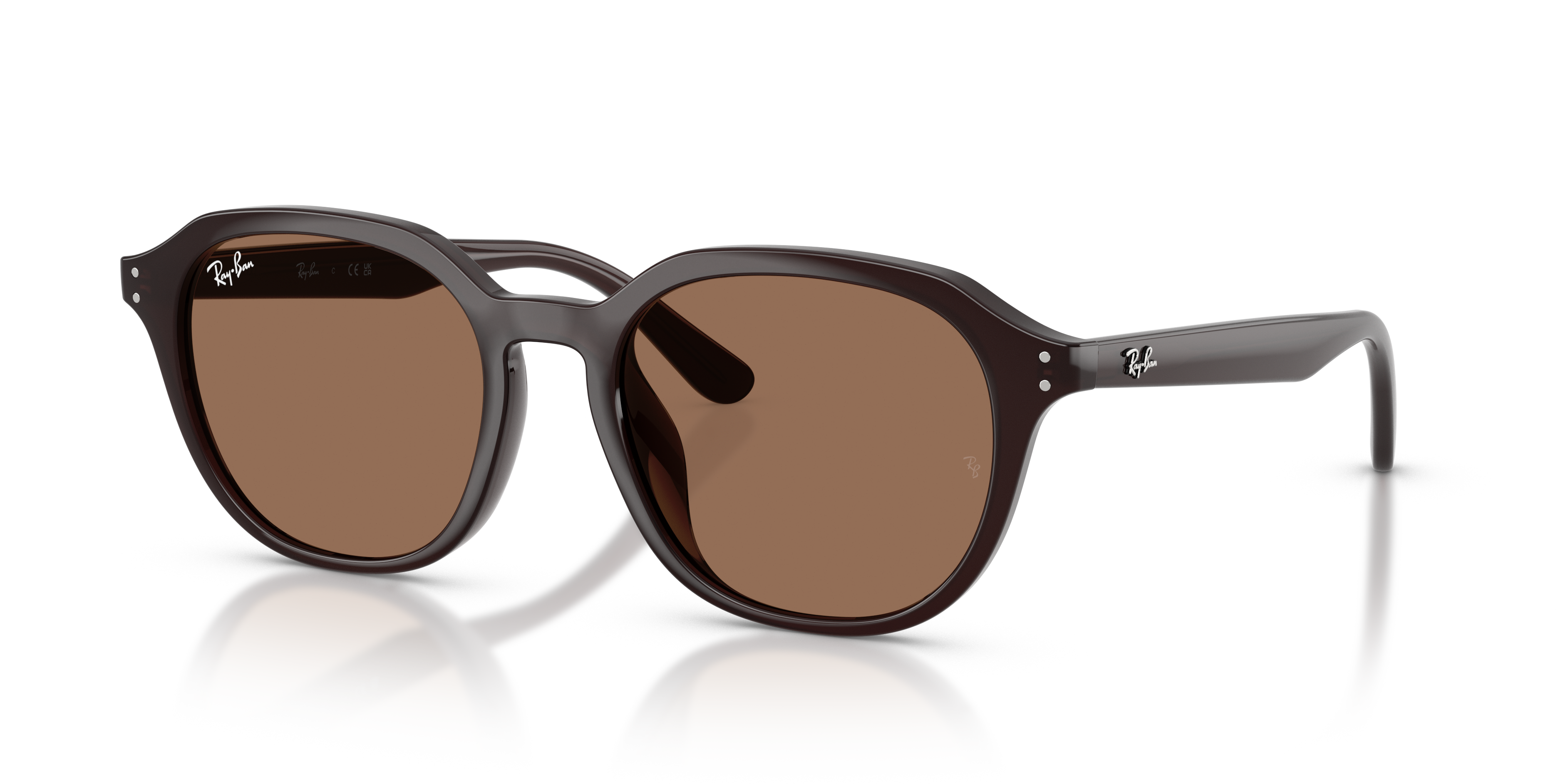 Rb4459d Sunglasses in Opal Brown and Dark Brown - RB4459D | Ray-Ban® IE
