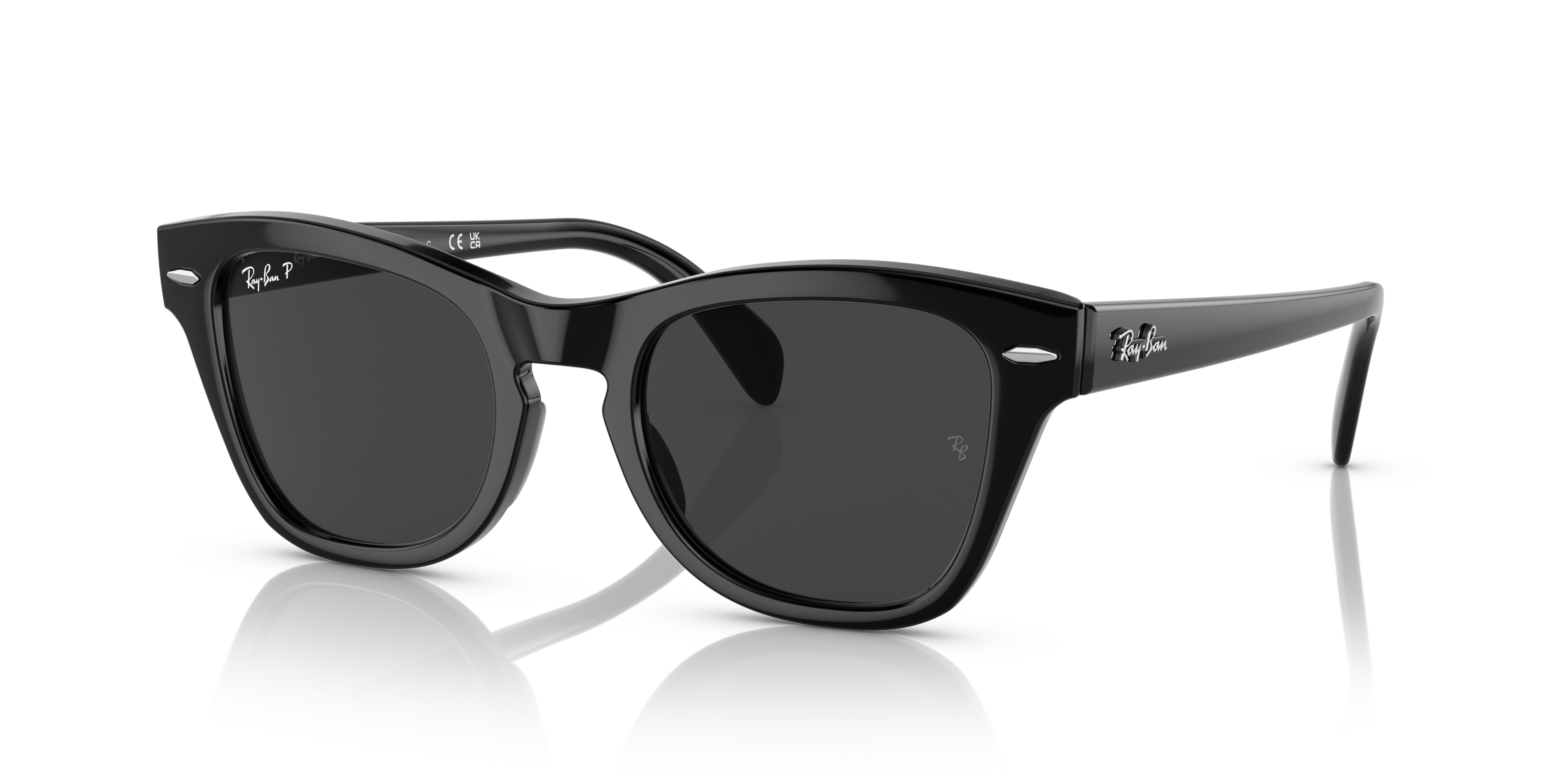 Rb0707s Sunglasses in Black and Black - RB0707S | Ray-Ban® CA