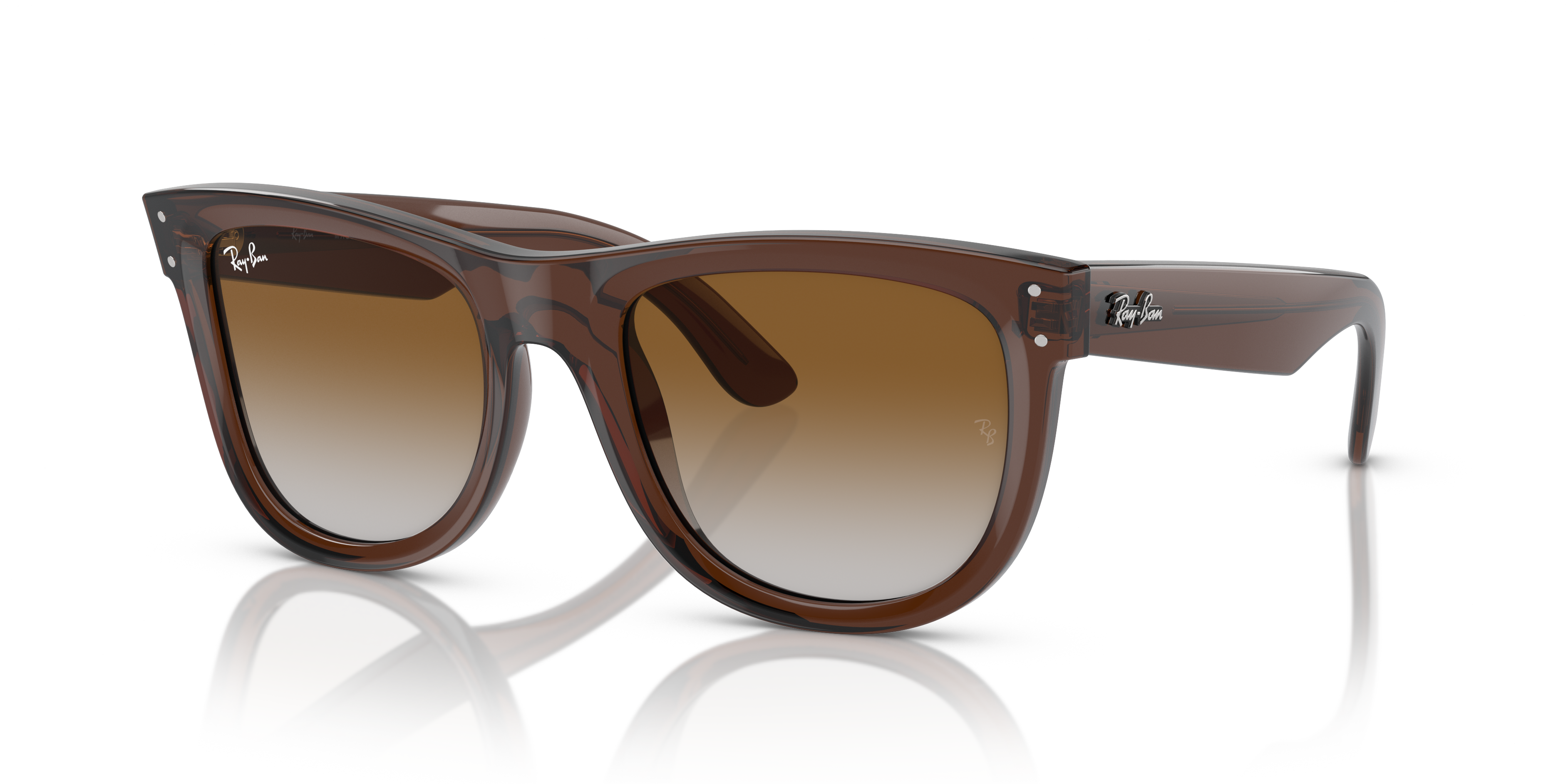 Wayfarer Reverse Sunglasses in Transparent Brown and Brown - RBR0502S ...