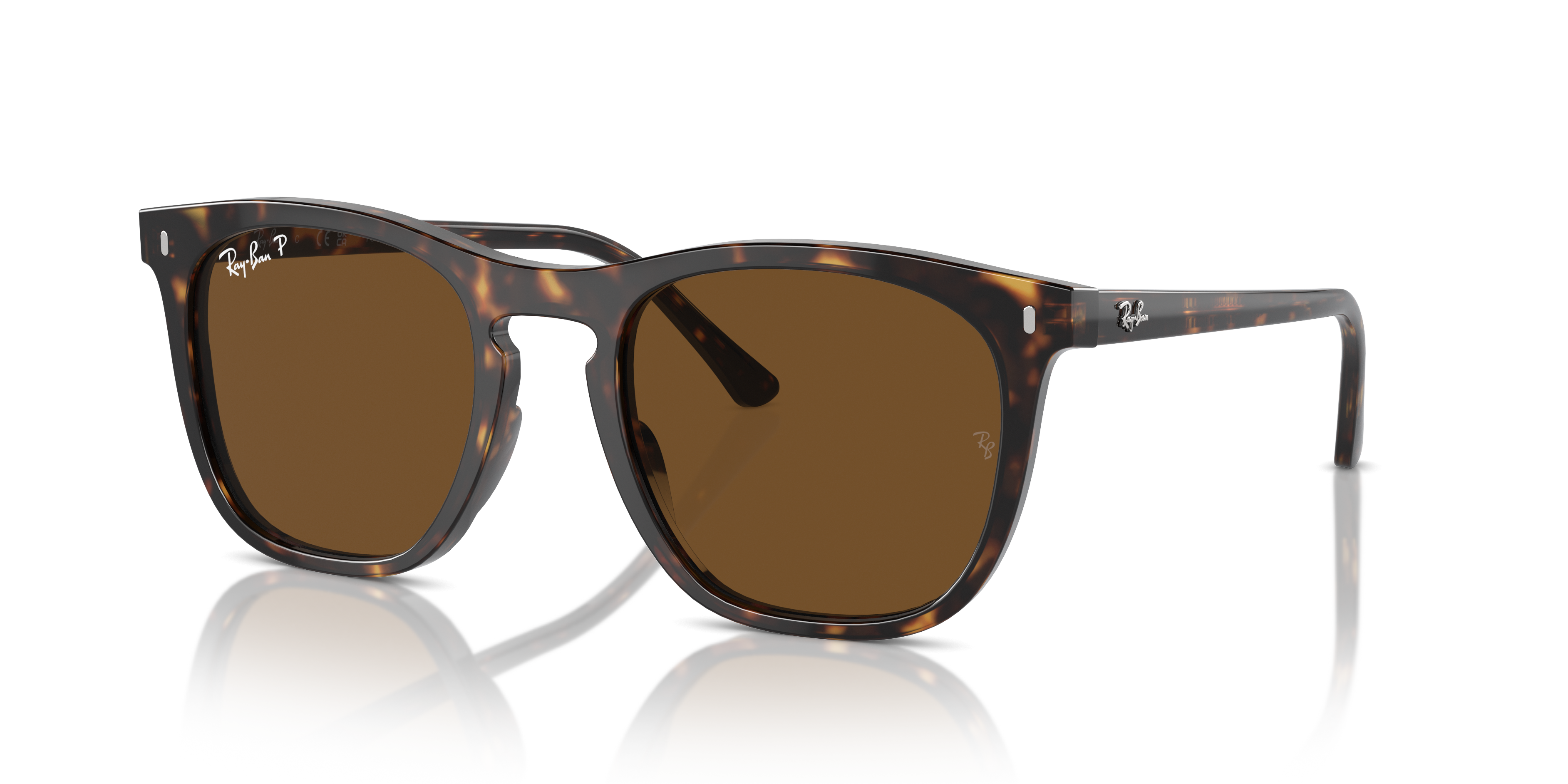 Rb2210 Sunglasses in Polished Havana and Brown Polarized (53-21 ...