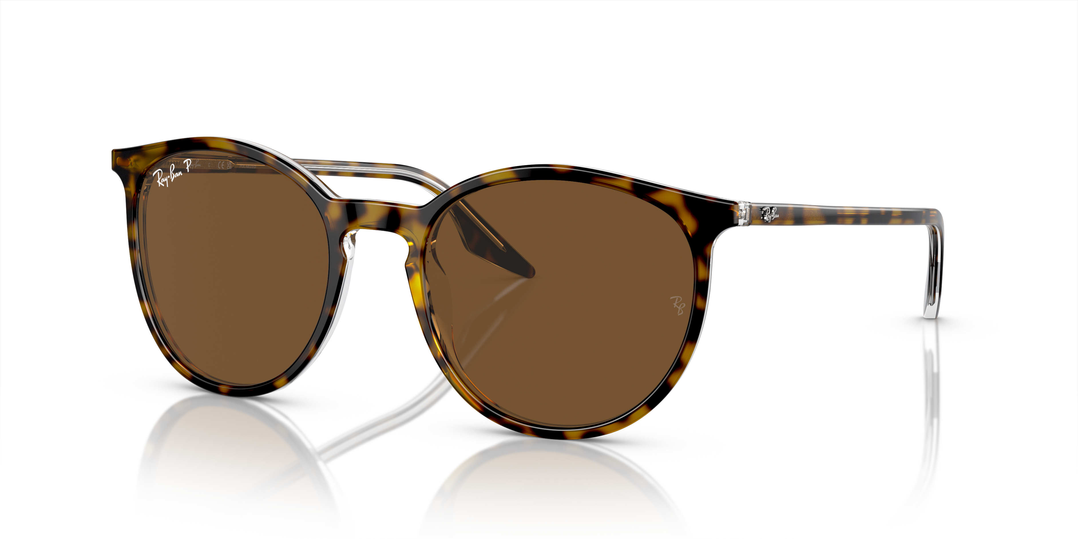 Rb2204 Sunglasses in Polished Havana On Transparent and Brown Polarized ...