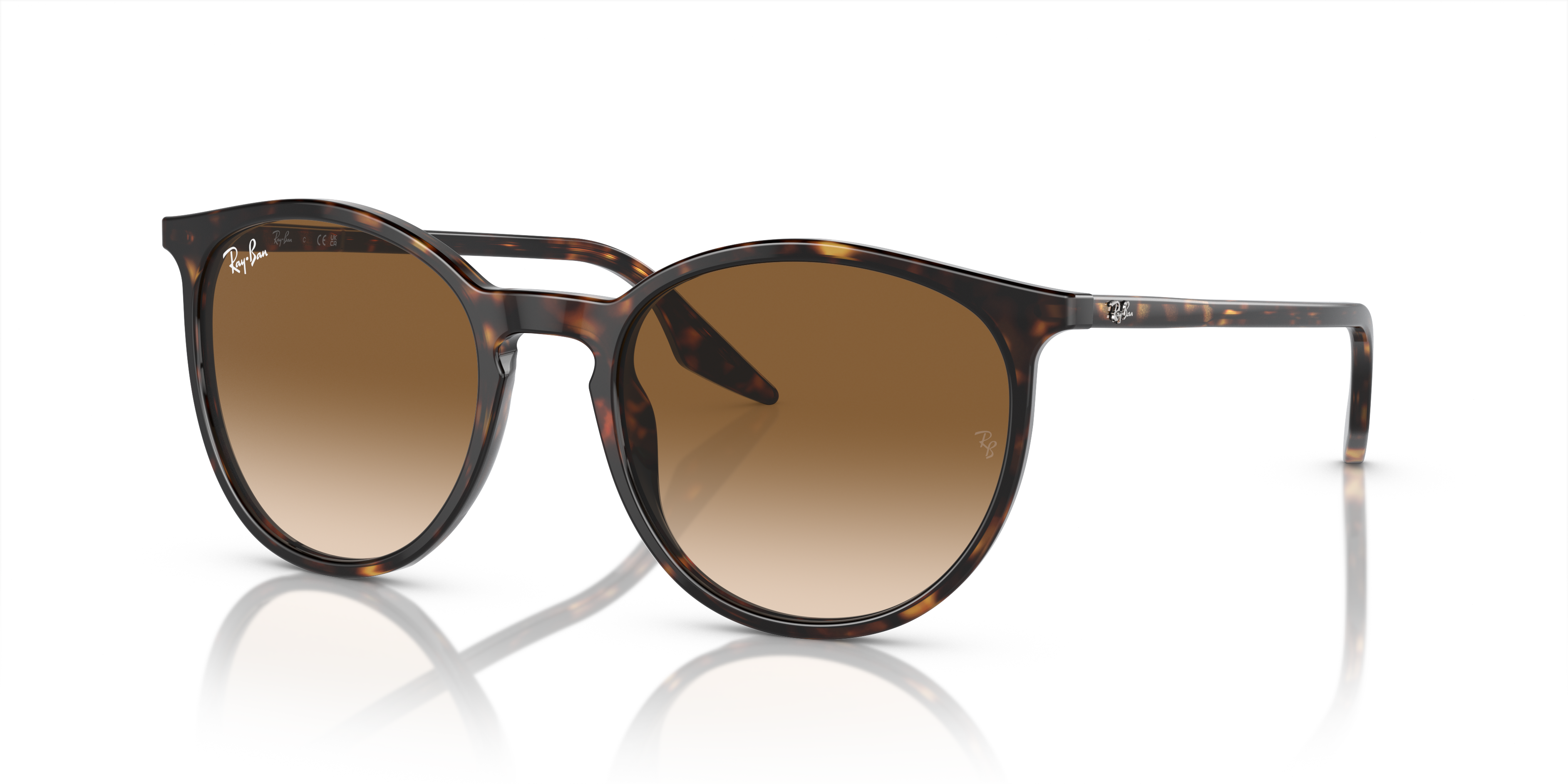 Rb2204 Sunglasses in Havana and Light Brown - RB2204 | Ray-Ban® US