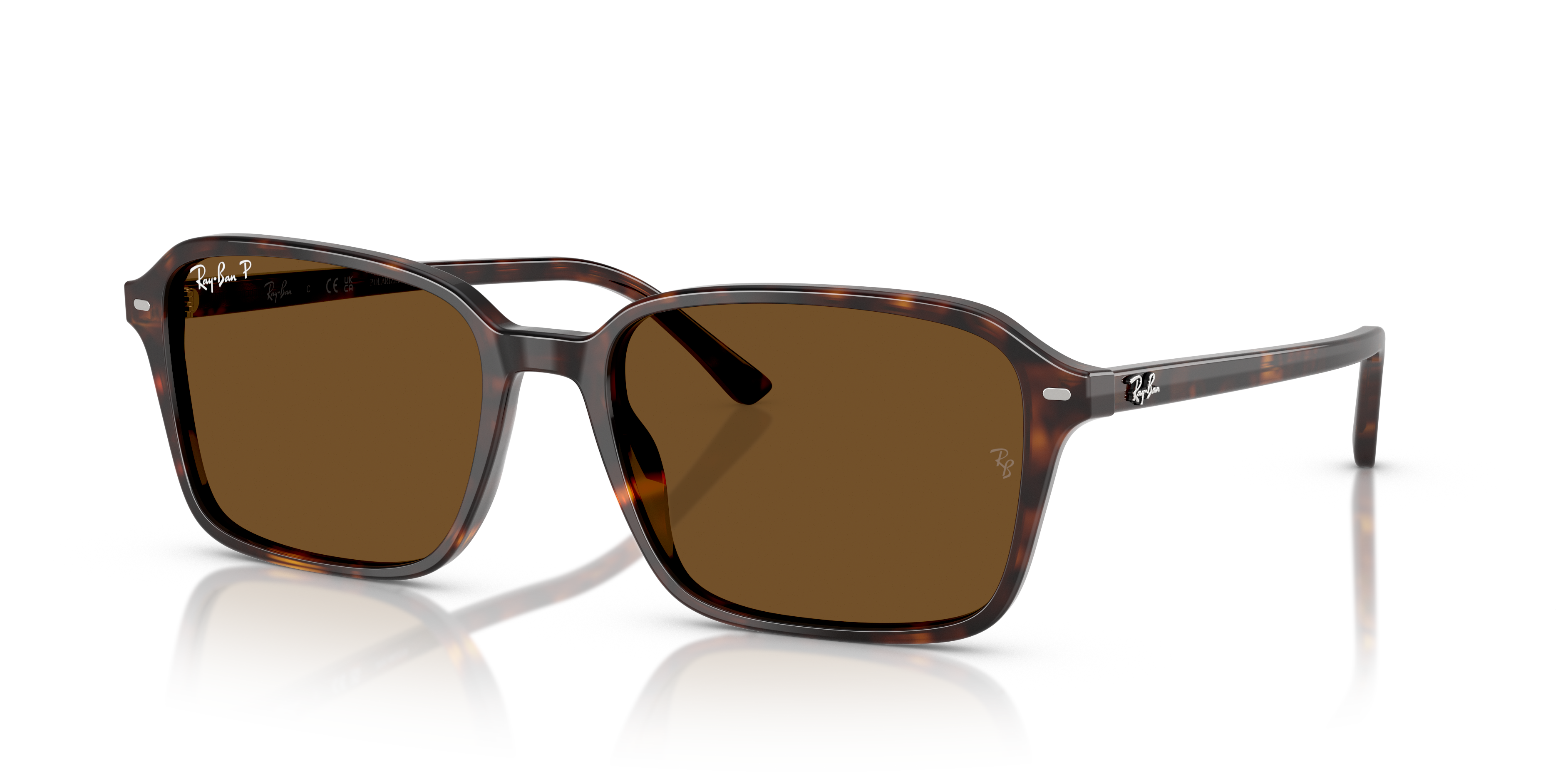 Raimond Sunglasses in Polished Havana and Brown Polarized (58-18 ...