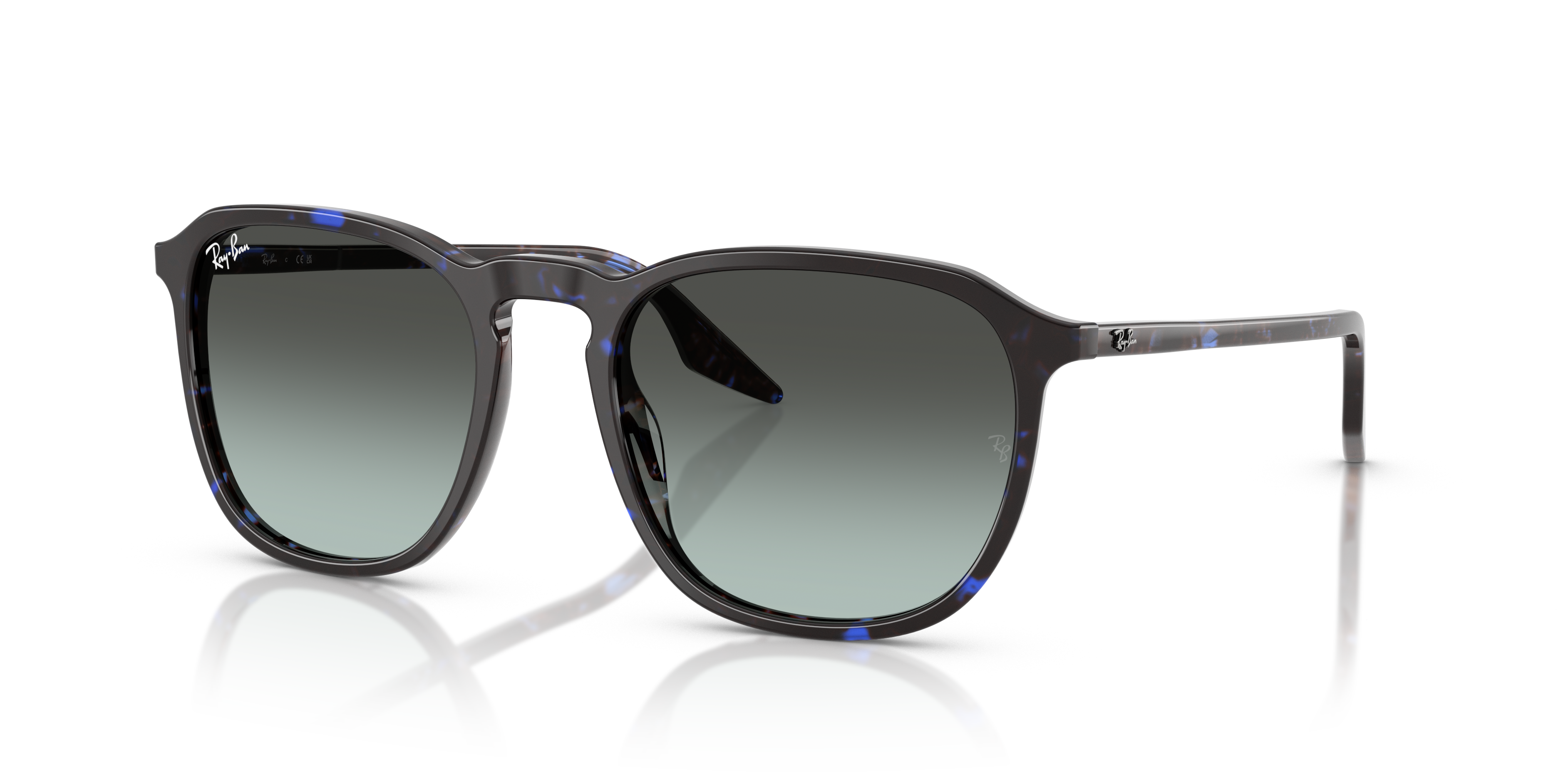 Rb2203 Sunglasses in Polished Havana Blue Turtle and Blue Vintage ...