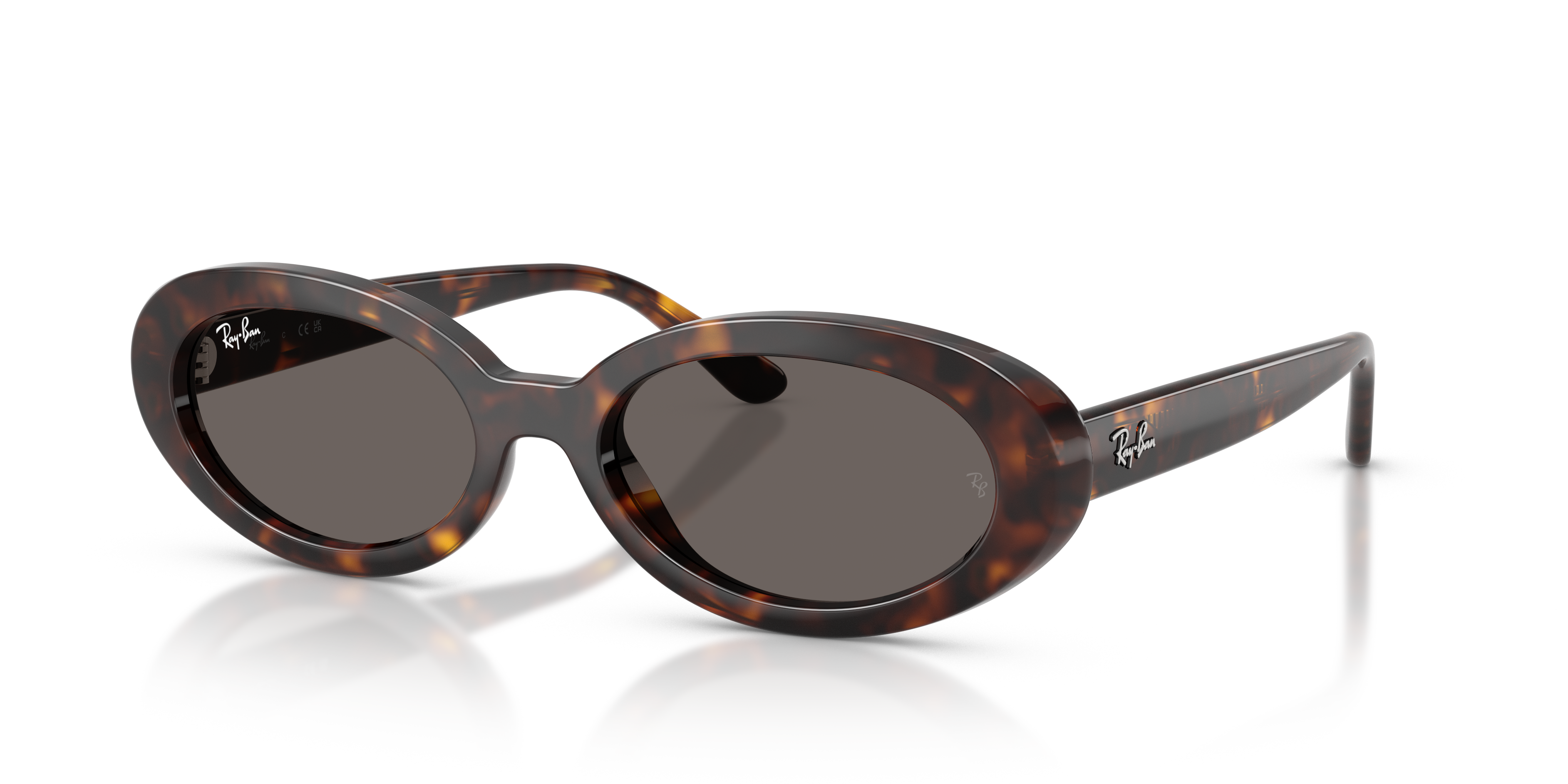 Rb2223 Sunglasses in Polished Havana and Dark Grey (54-19) - RB2223 ...